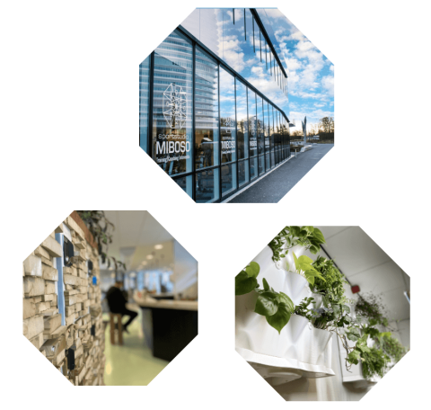 Miboso | Mind, Body & Soul in balans